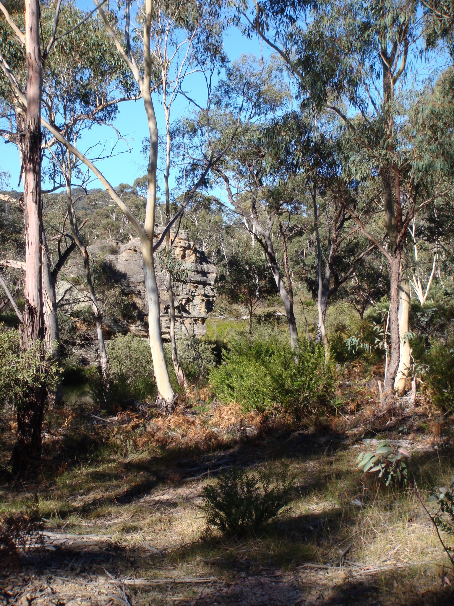 Land, Lots of Land – Kandos History