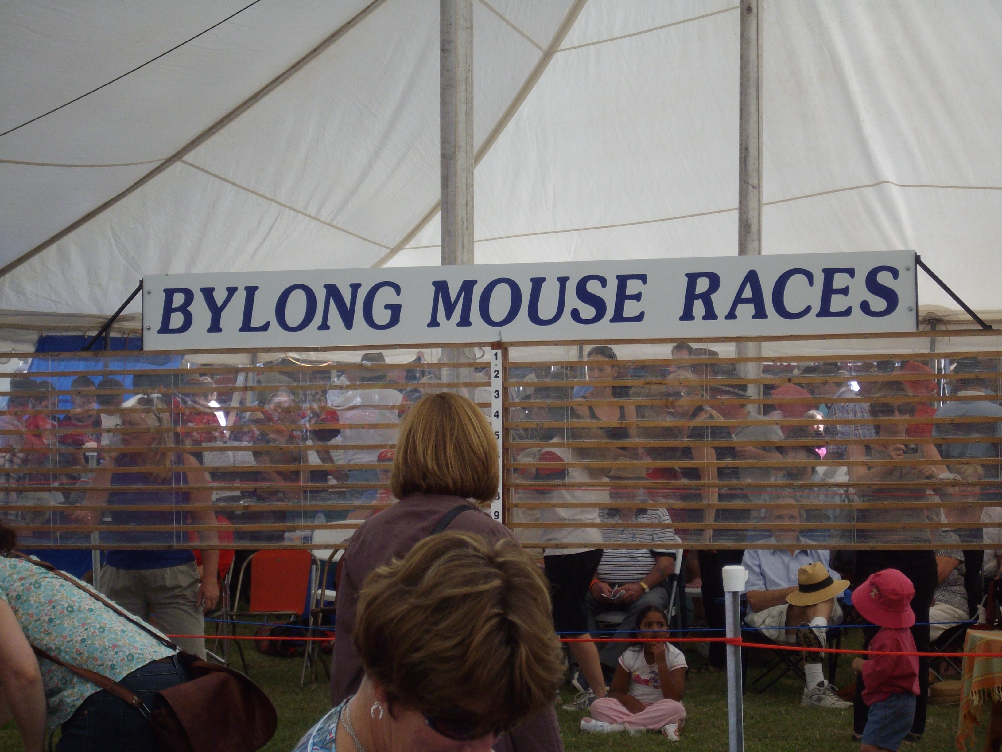 A Day at the Bylong Mouse Races – Kandos History